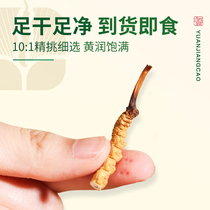 Yuanjiang Çim cordyceps sinensis 20g takviyesi - uygun fiyatlı ...