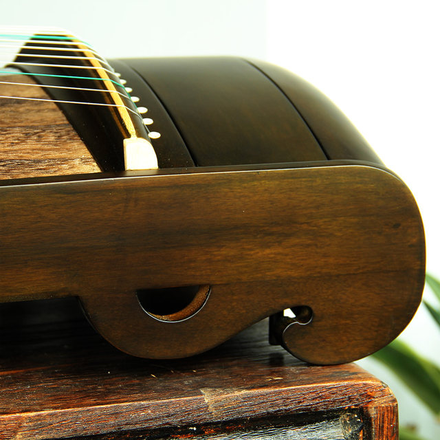 Hongyi Traditional National Musical Instrument Professional Ten ...