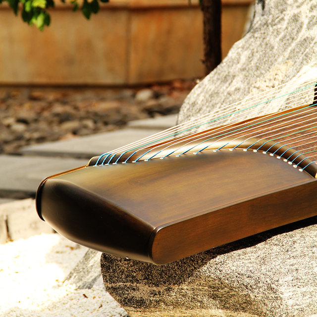 Hongyi Traditional National Musical Instrument Professional Ten ...