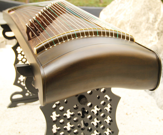 Hongyi Traditional National Musical Instrument Professional Ten ...