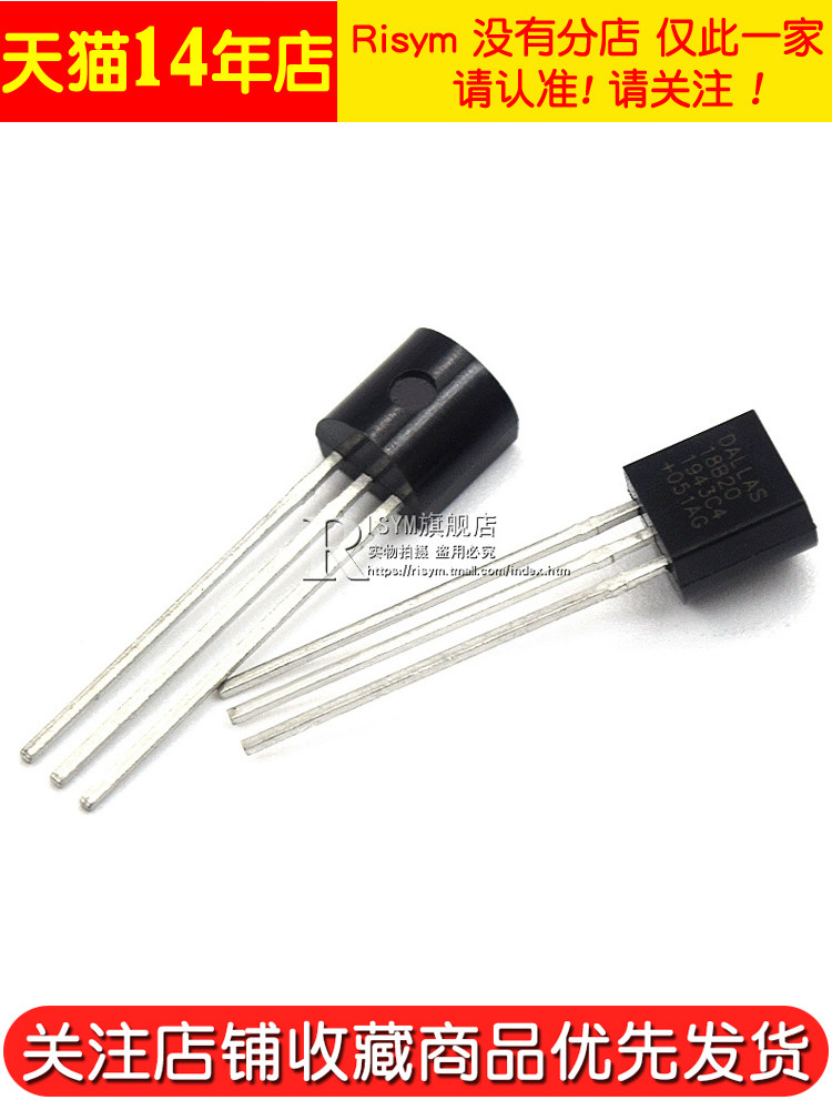 DS18B20 Temperature Sensor - Digital Thermometer - Risym