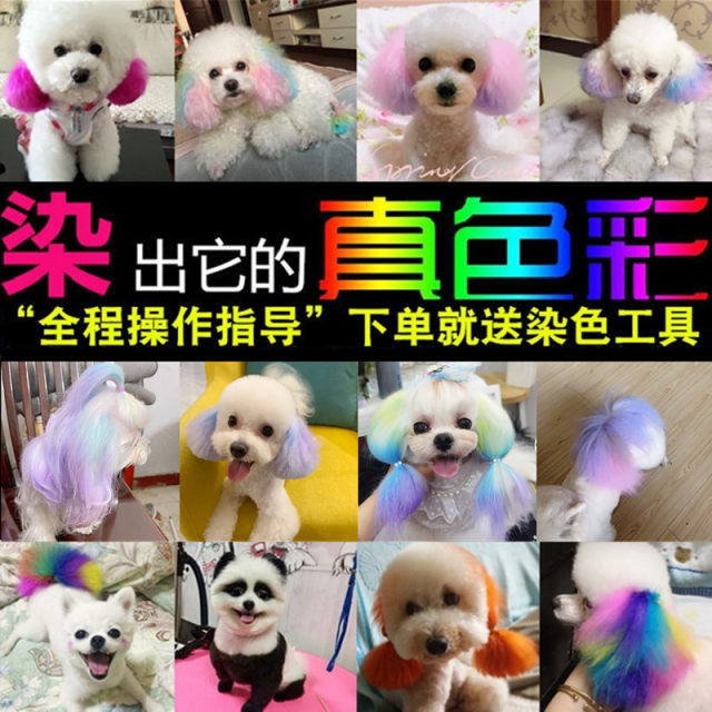 Dog hair dye hair pet special white bichon teddy animal cat dye hair ...