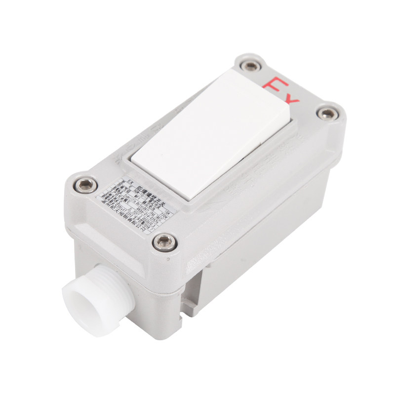 Industrial Explosion-Proof Wall Switch 86 Type Single/Double/Triple ...