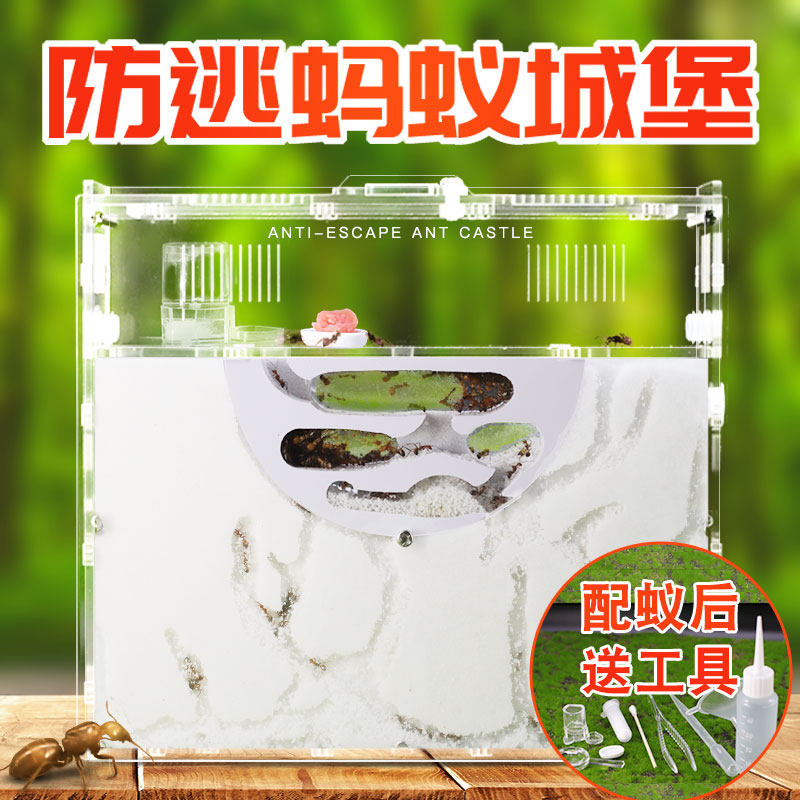 Ant Castle Extra Large Nest - Free Ant Kingdom Queen Ant Pet Sandcastle ...