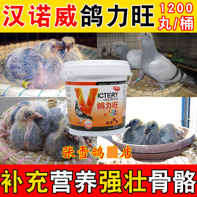 Hannover pigeon 1200 pigeon racing pigeon vitality nutrition pills ...