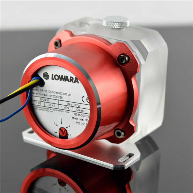 Original imported LowaraD5 manual speed control type D5 water pump five ...