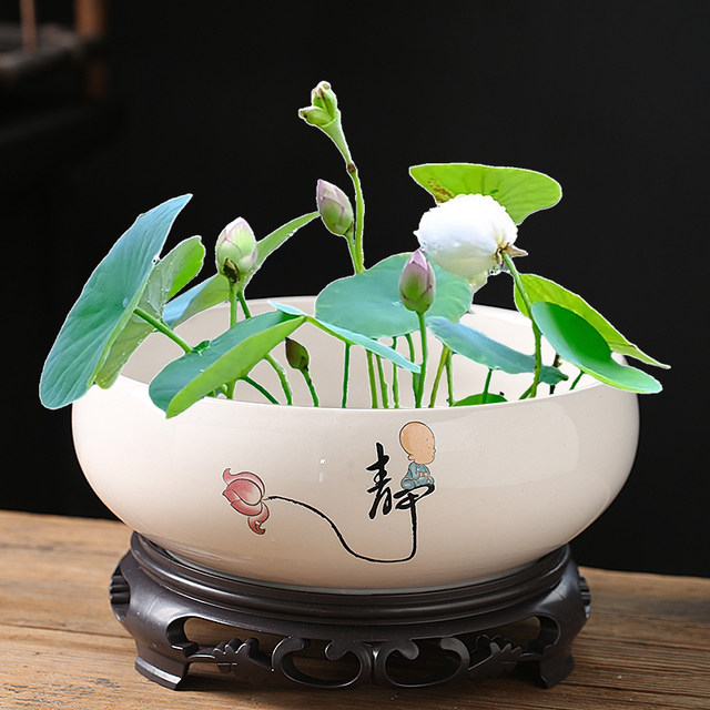 Special pot for bowl lotus, copper money grass, water lily, one-leaf ...