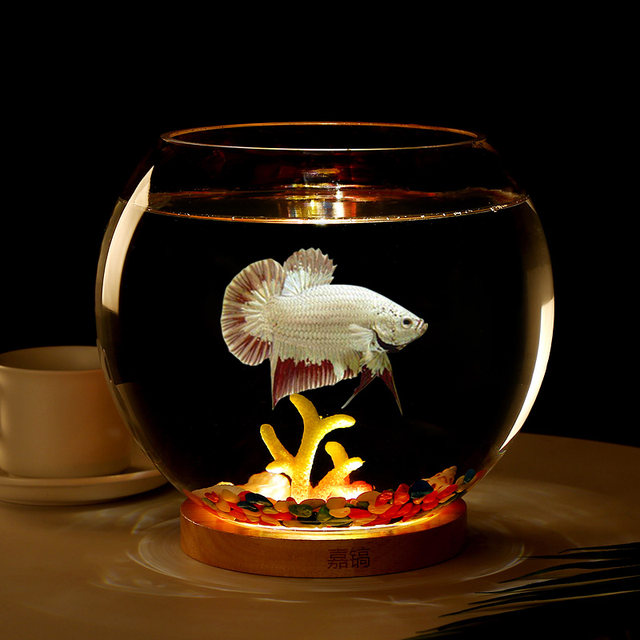 Betta tank mini small glass fish tank living room desktop ecological ...
