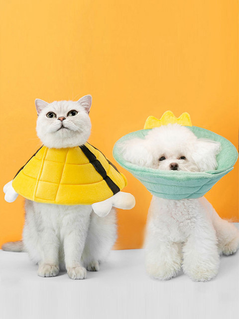 Elizabeth Circle Soft Cat Breeding Circle Pet Elisa Bai Fang Capturing ...