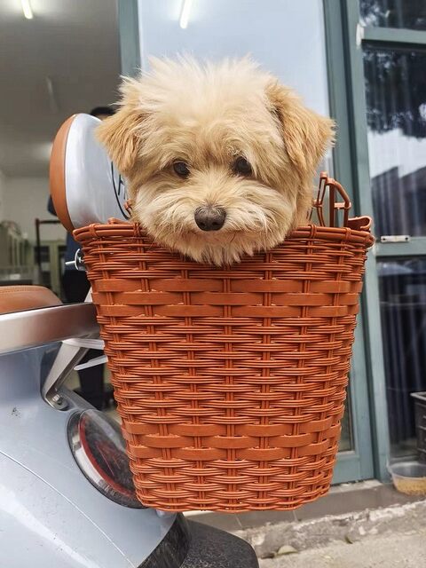 Electric motorcycle rear basket, electric motorcycle rear hanging ...