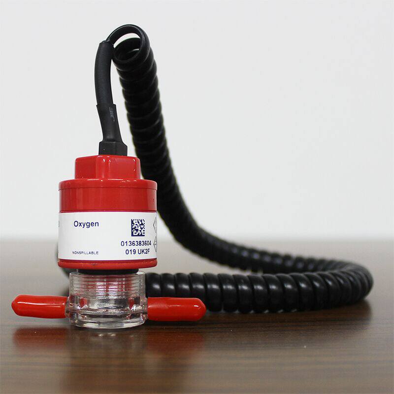 Cy12c Portable Oxygen Meter - Oxygen Detection Concentration ...