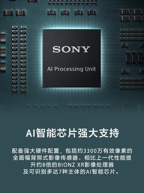 Sony/Sony Alpha 7C II Dual Image Micro Single Camera 7CM2