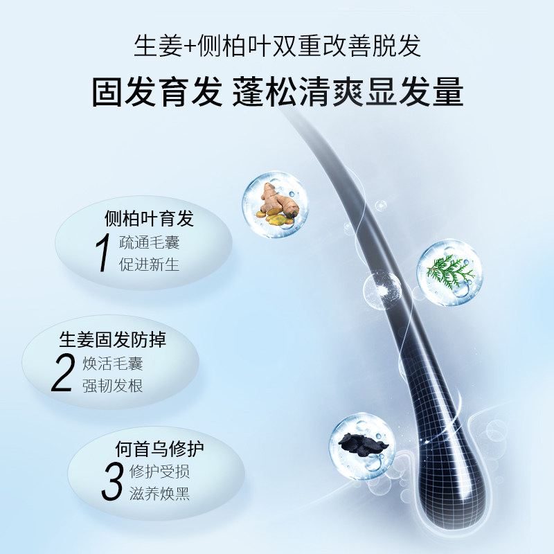 Adolf Anti-Hair Loss Shampoo Dew | Ginger Juice Hair Care Set (500ml ...