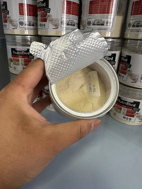 Belgian Versailles parrot milk powder low-fat hand-raised 0-day chicks ...