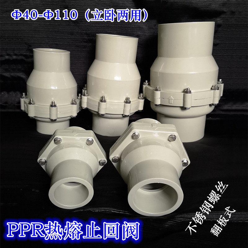 Former Star PPR Check Valve - DN100 (4 Inch) - Horizontal Gray