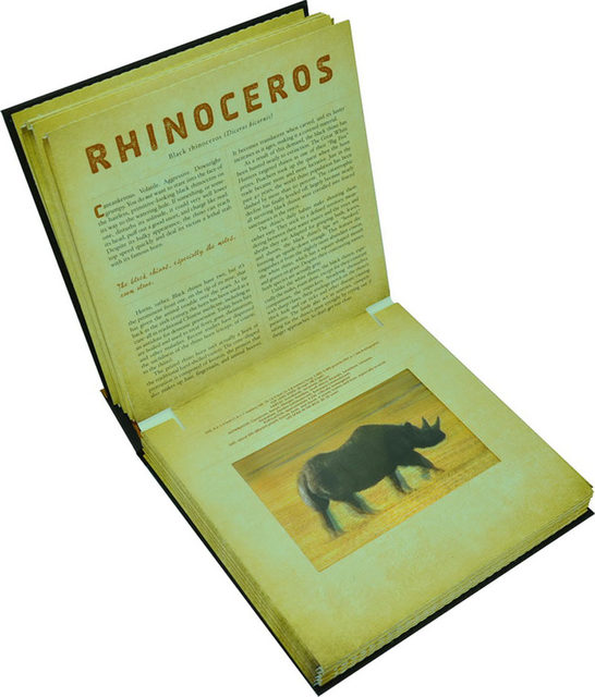 English original light and shadow visual book series moving 3D picture ...