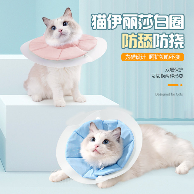 Elizabeth Cat Cat Cat after surgery, double -layer dual -layer two ...