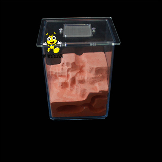 Ant World Pet Ant Farm Kit - Ecological Ranch Birthday Gift