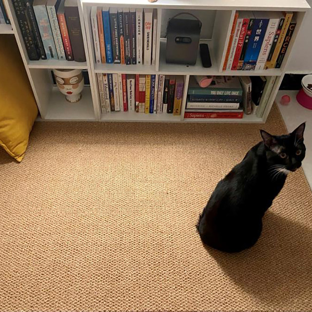 Huade Imitation Sisal Carpet Studio Entrance Door Living Room Tea Room ...