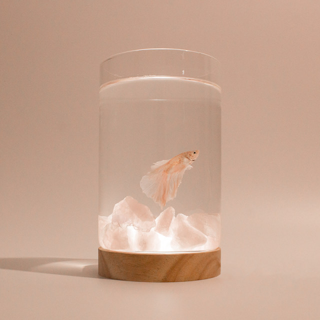 Douyu Fish Tank Small Desktop Micro Landscape Crystal Crystal Stone ...