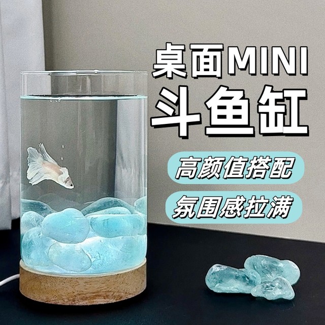 Douyu Fish Tank Small Desktop Micro Landscape Crystal Crystal Stone ...