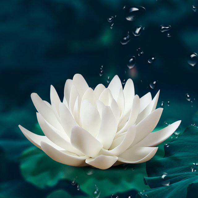 White Lotus Swing Ceramics Lotus Flower Flowers Guanyin Buddha Statue ...