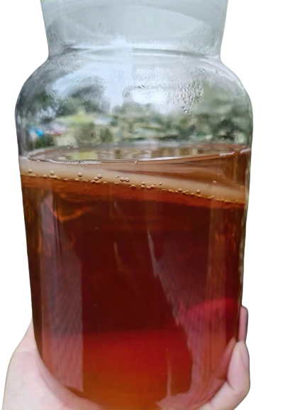Authentic kombucha strain traditional original bottle Laoweibao ...