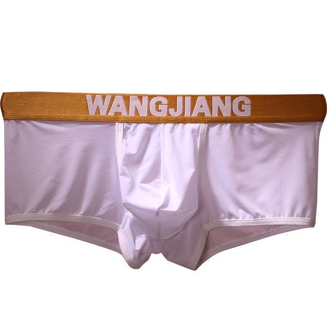 Translucent ice silk high elastic ultra-thin sexy young men's underwear ...