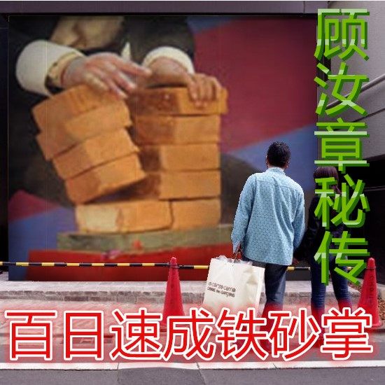 Gu Pai iron sand palm training package Gu Ruzhang secret iron sand palm ...