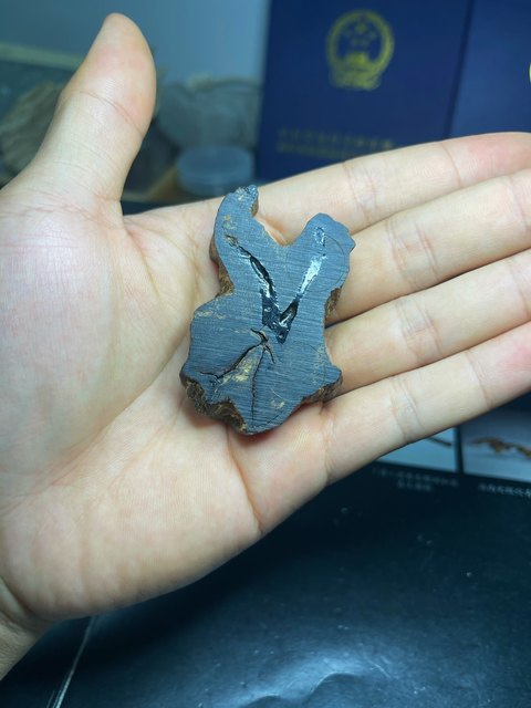 Hainan natural chess nan authentic black chess nan Canaan agarwood hand ...