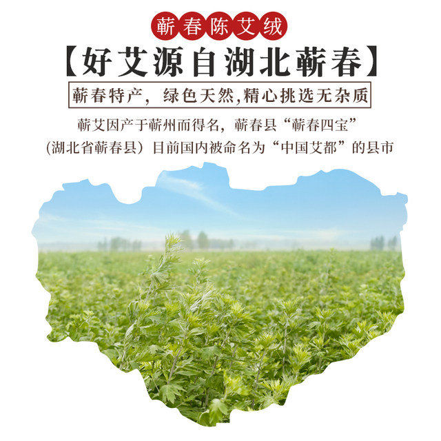 Qichun Chen moxibustion three-year moxibustion velvet bulk aged moxa ...