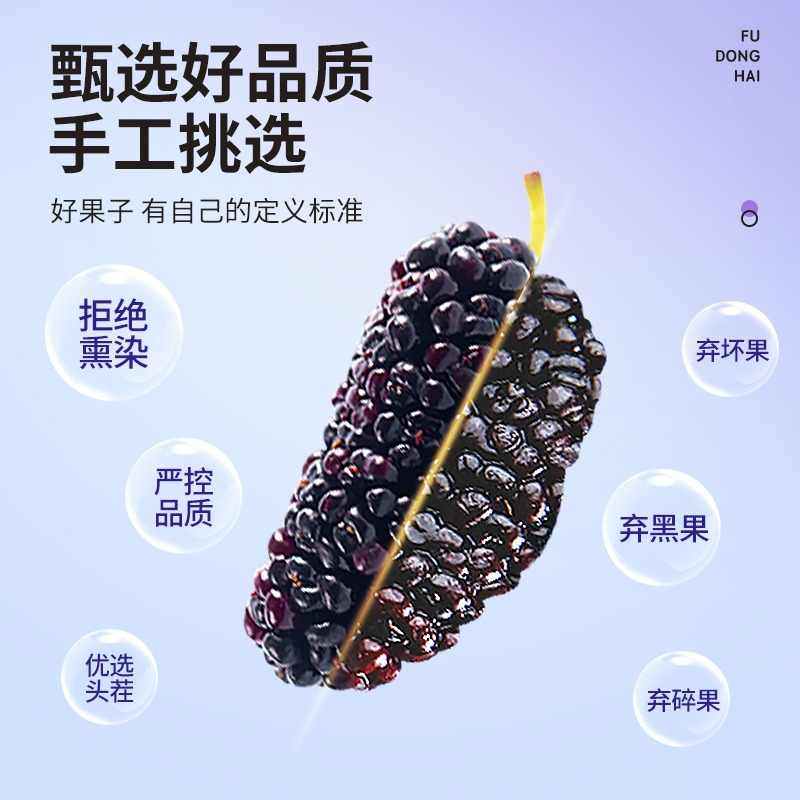 Fudonghai Getrocknete Schwarze Maulbeeren - 250g - Zutat für Fruchttee