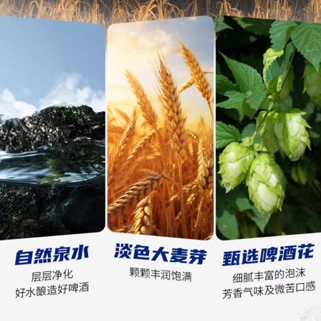 Baltic Russian original low-fermentation craft beer canned wholesale No ...