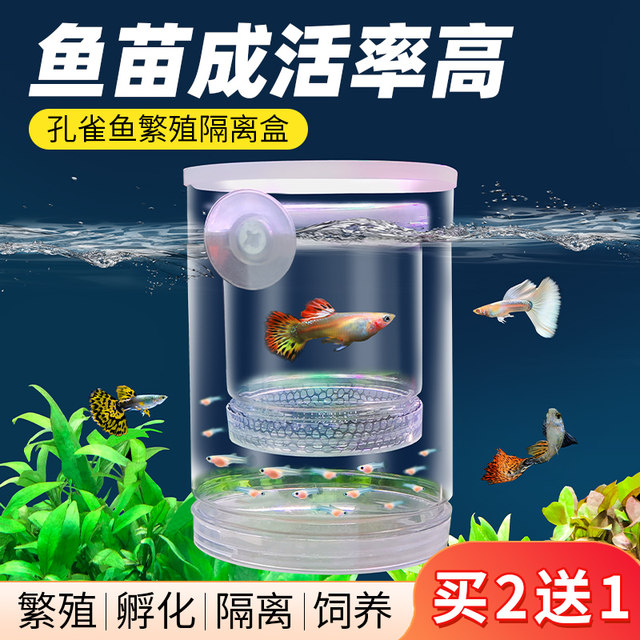 Guppy breeding isolation box spawning barrel female fish hatching net ...