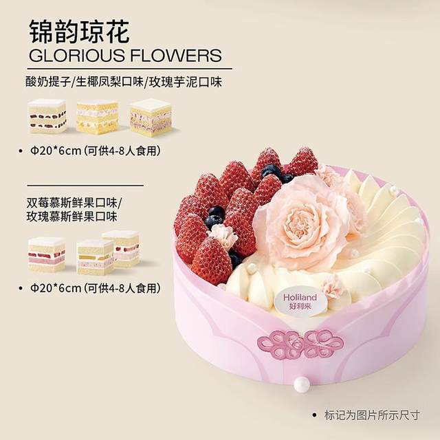 Holiland Birthday Cake South Beijing Shanghai Chengdu Shenyang Xi'an ...