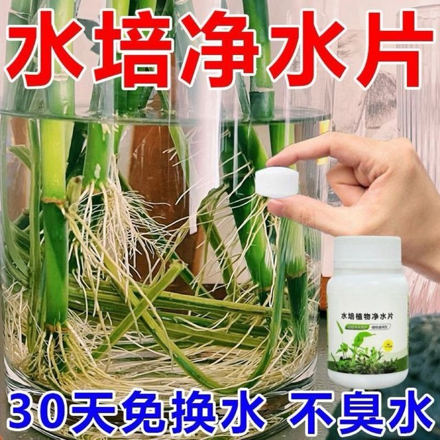 Flower Fresh and Sterilizer Hydroponic Plants Special Purifier Water ...