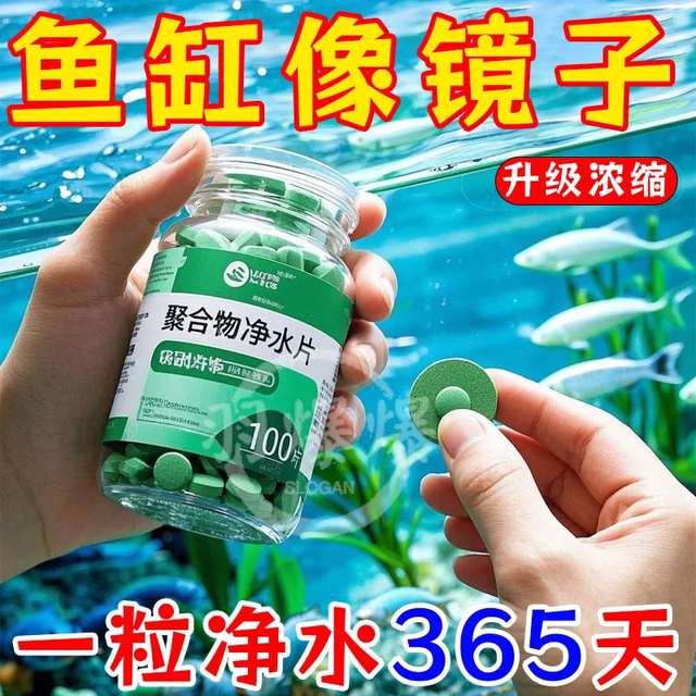 Water purification tablet polymer polymer Japanese develops deodorant ...