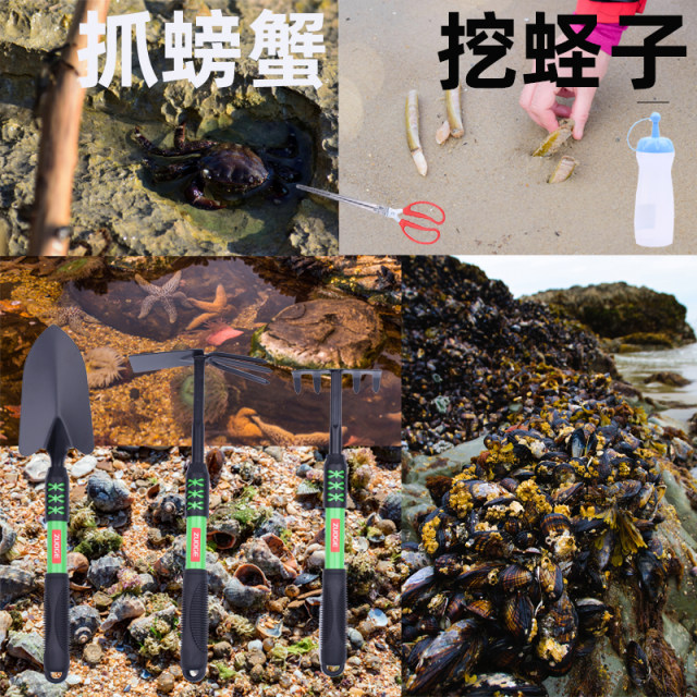 A complete set of sea catching tools for adults, clam digging gloves ...