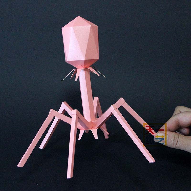 Handmade diy phage paper model | Tianyi paper art Phage Paper Model ...