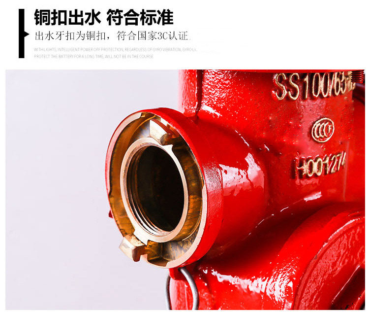 Factory direct sales ss100/65-1. 6 fire hydrant | Prosperous Fire ...