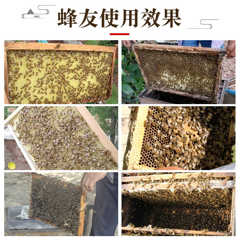 Genuine Eight Thousand Bee Hive Frame with Honey Bee Hive Base