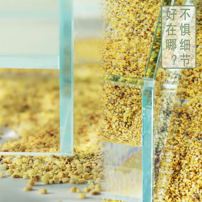 Ultra-White Suspended Tank Micro Landscape Ecological Tank Moss Tank ...