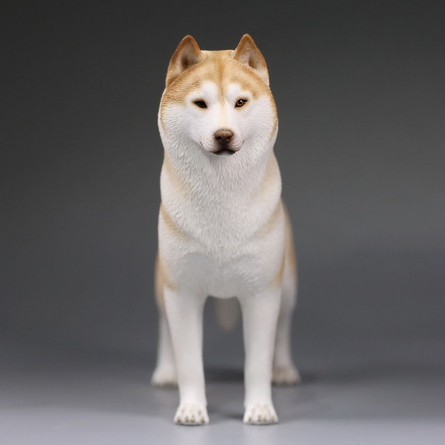JXK 1/6 Husky Siberian Husky Model Soldiers, Animals, Dogs and Cute Pet ...