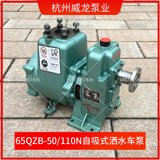 Veyron 65QZB-50/110N Selbstansaugende Wasserpumpe