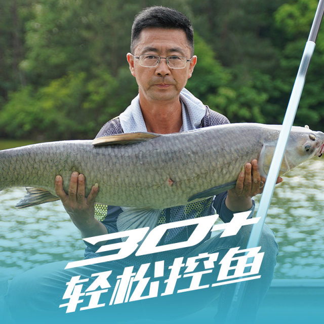 Jia Diao Ni Wu Er Qing Kuang new lightweight large rod silver carp and ...