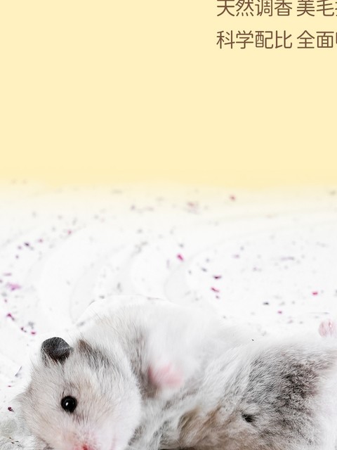 Complete collection of hamster bath and sand supplies, bathroom urine and sand two-in-one golden ...