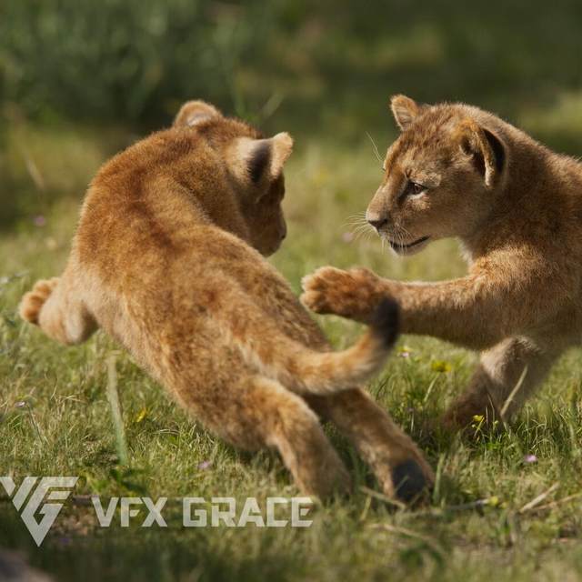 BLENDER Little Lion Cubic Model Lion Cub Animated VFX Grace