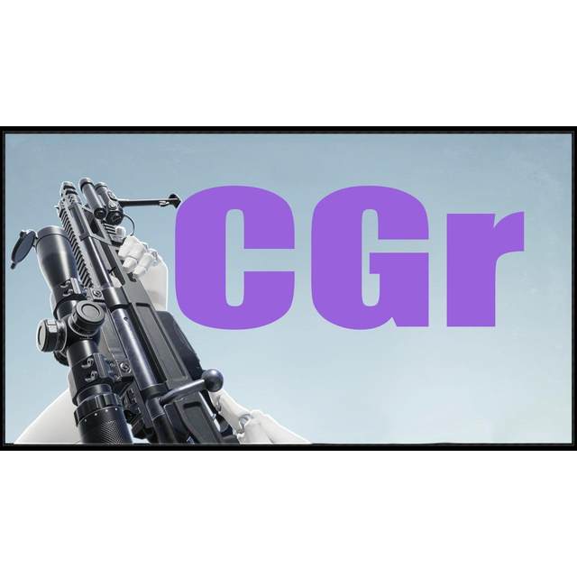 UE5 Unreal 5.5 CGR BAANPR R24 can customize weapon models
