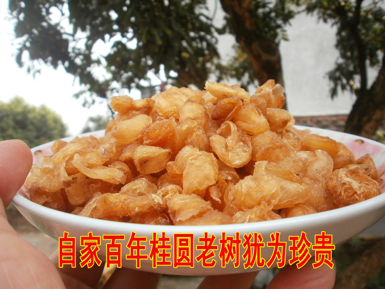 Premium Putian Longan - Dried Longan Fruit, Natural & Seedless