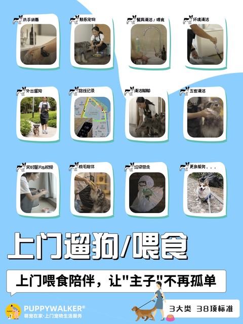Multi-pet service Beijing, Shanghai, Hangzhou, Shenzhen, multi-pet home ...